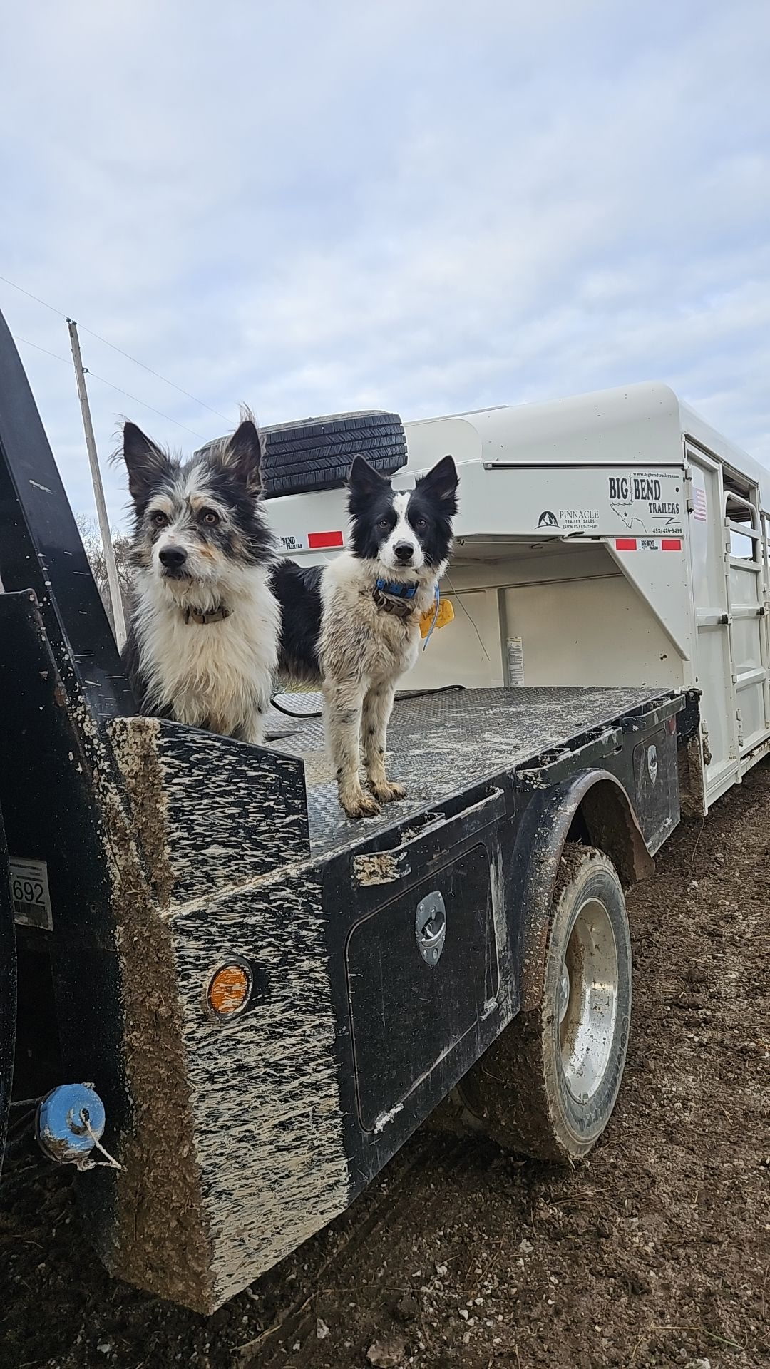 Double D Livestock & Equipment - Quality Trailers for Ranch Life | Kentucky